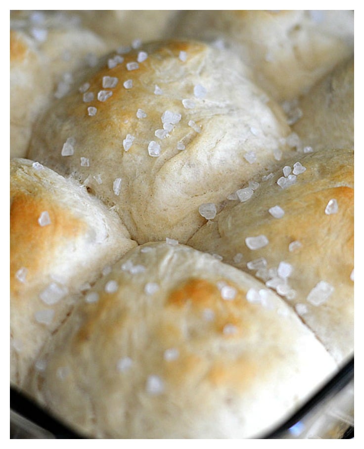 One Hour Soft Dinner Rolls with Sea Salt - TheVegLife